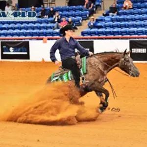 Dr. Christopher Donato | Top Dentist in Tampa, FL